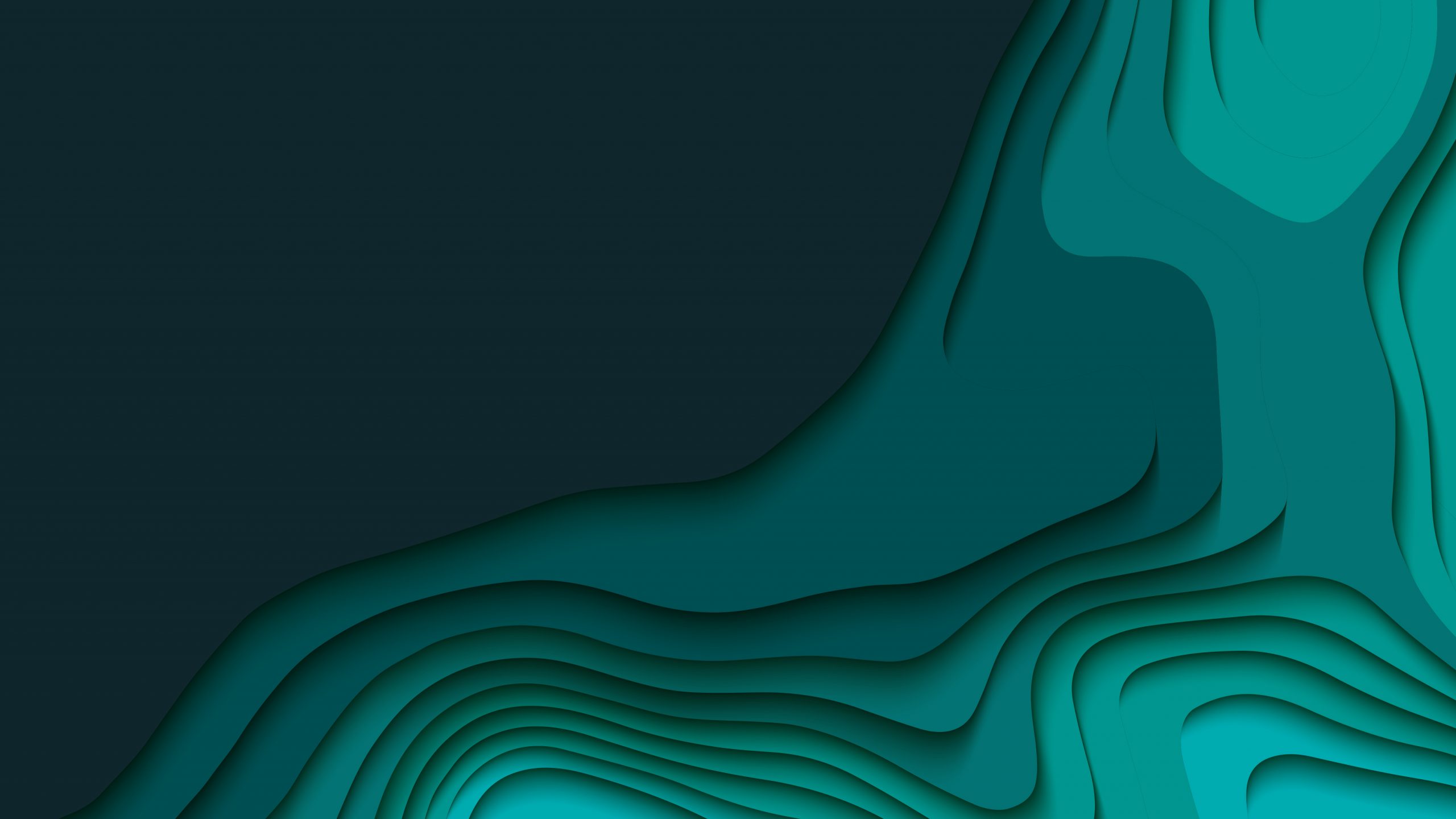 Natilik and Cisco Newsletter | Natilik